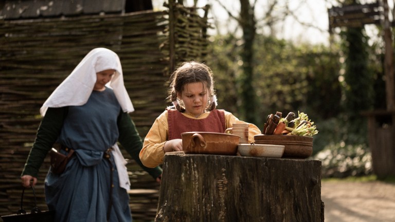 Historische Vereniging De Hospitaalridders – Tuitio fidei et obsequium ...